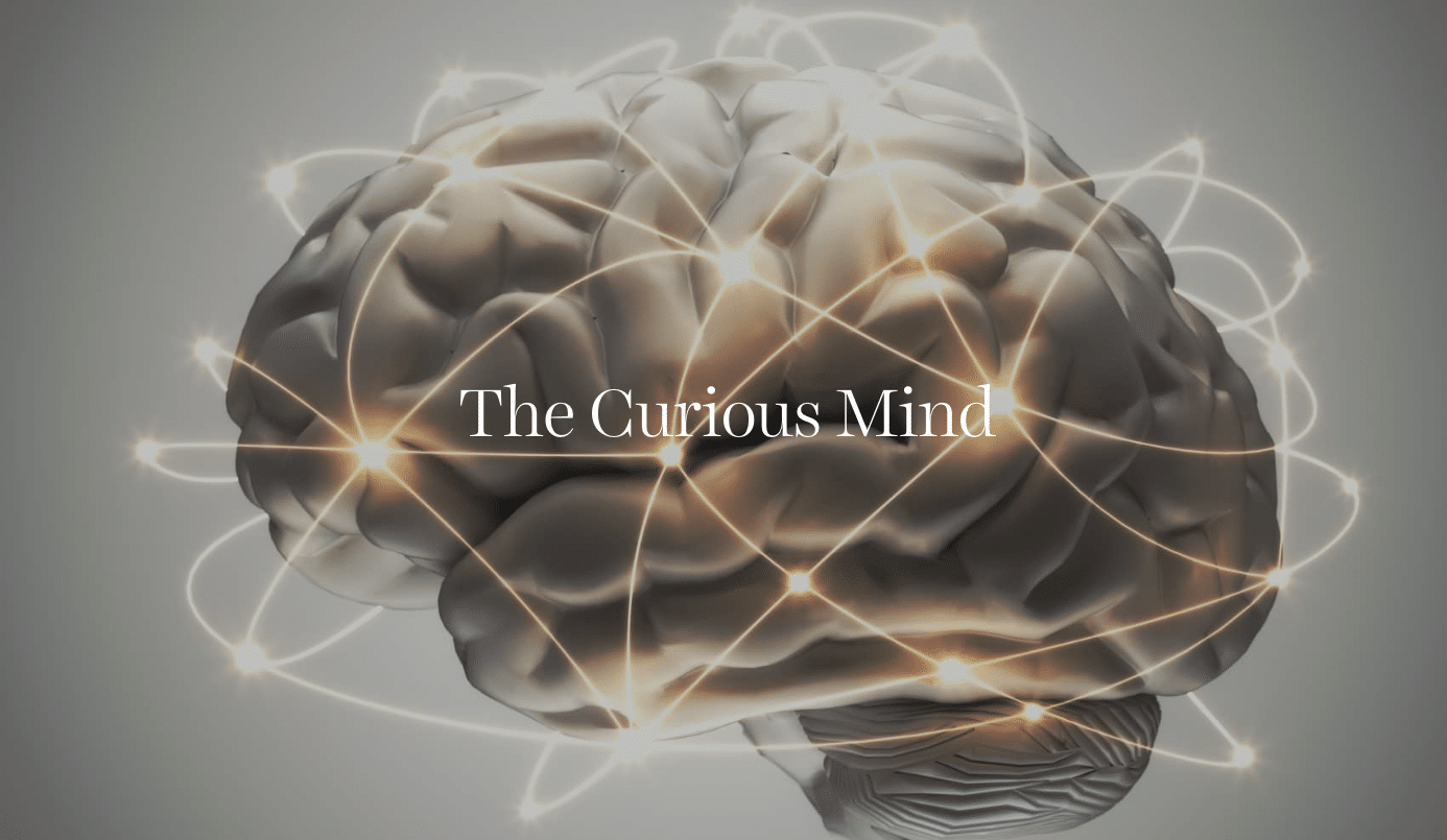 The Curious Mind - Molly Duggan Associates